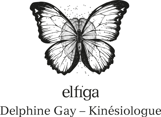 Elfiga – Qui suis-je?